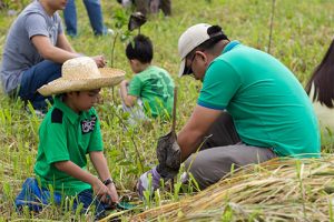 HOW TO PLAN A SUCCESSFUL TREE PLANTING ACTIVITY - Nuvali