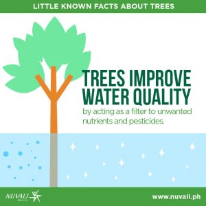 TREE PLANTING - Nuvali